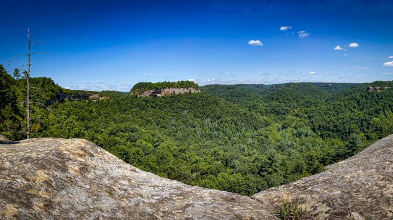 Hidden In Kentucky's Red River Gorge Is A Short And Sweet Trail Leading ...