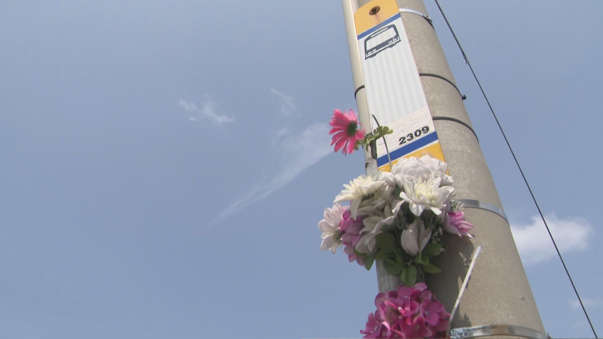 Man arrested after woman killed amid Hamilton gunfight while waiting ...