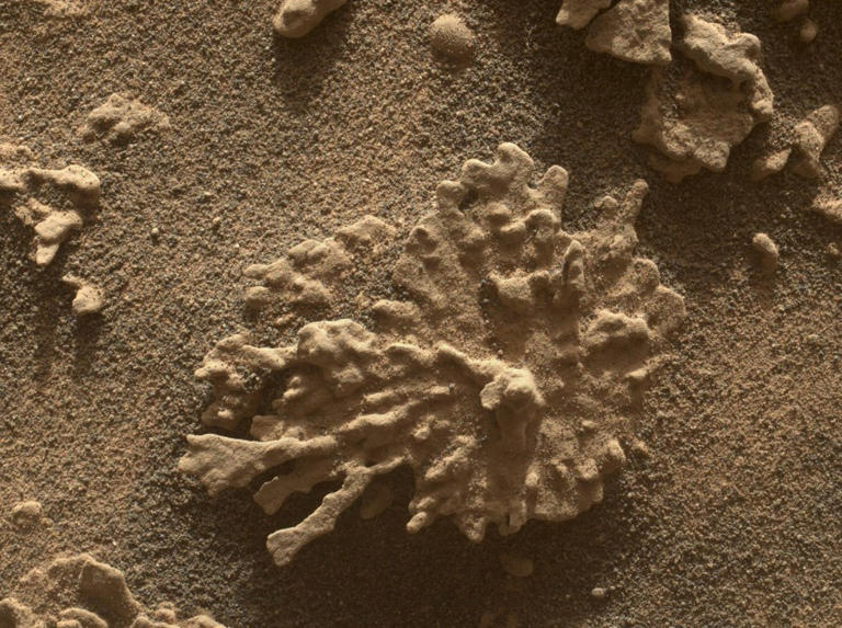 NASA’s Curiosity rover captured images of ‘coral’ rock on Mars that ...