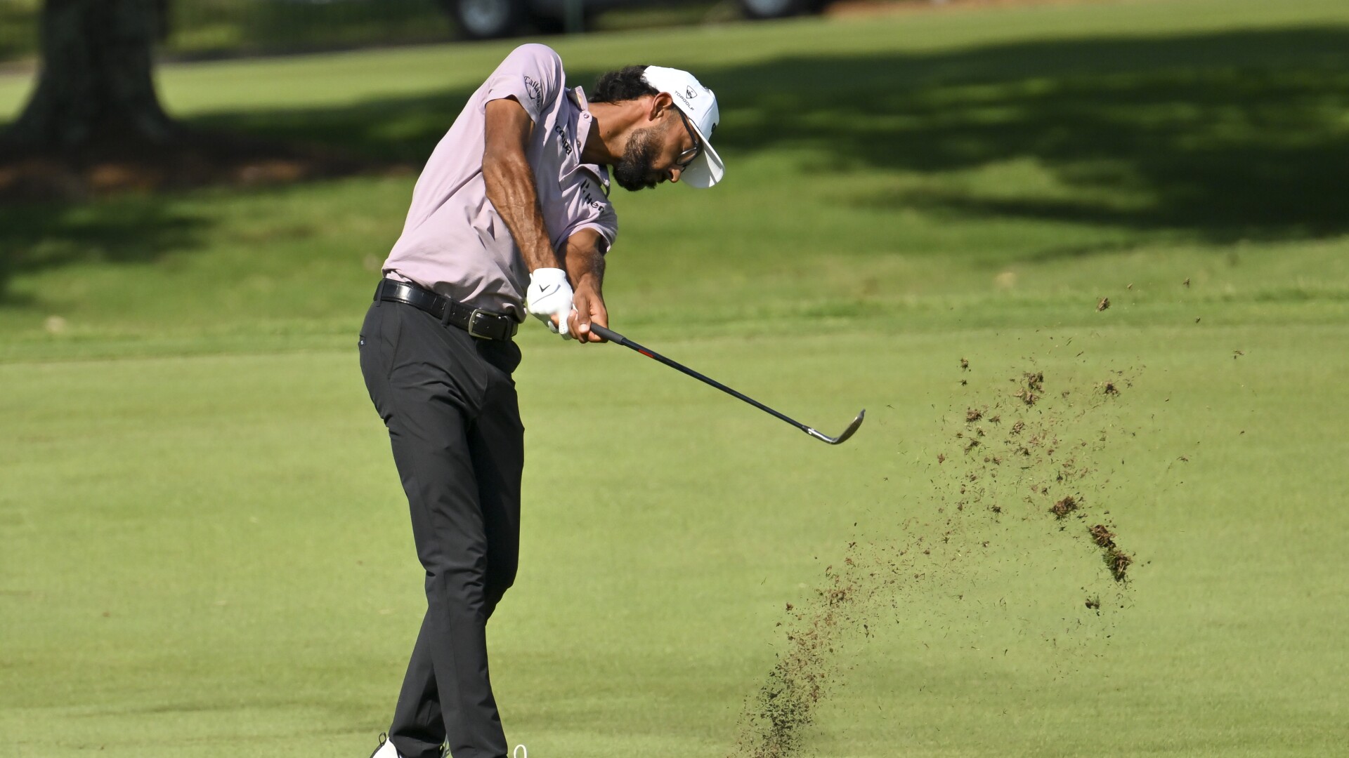 Akshay Bhatia fires 62 to lead FedEx St. Jude Championship, PGA Tour's ...