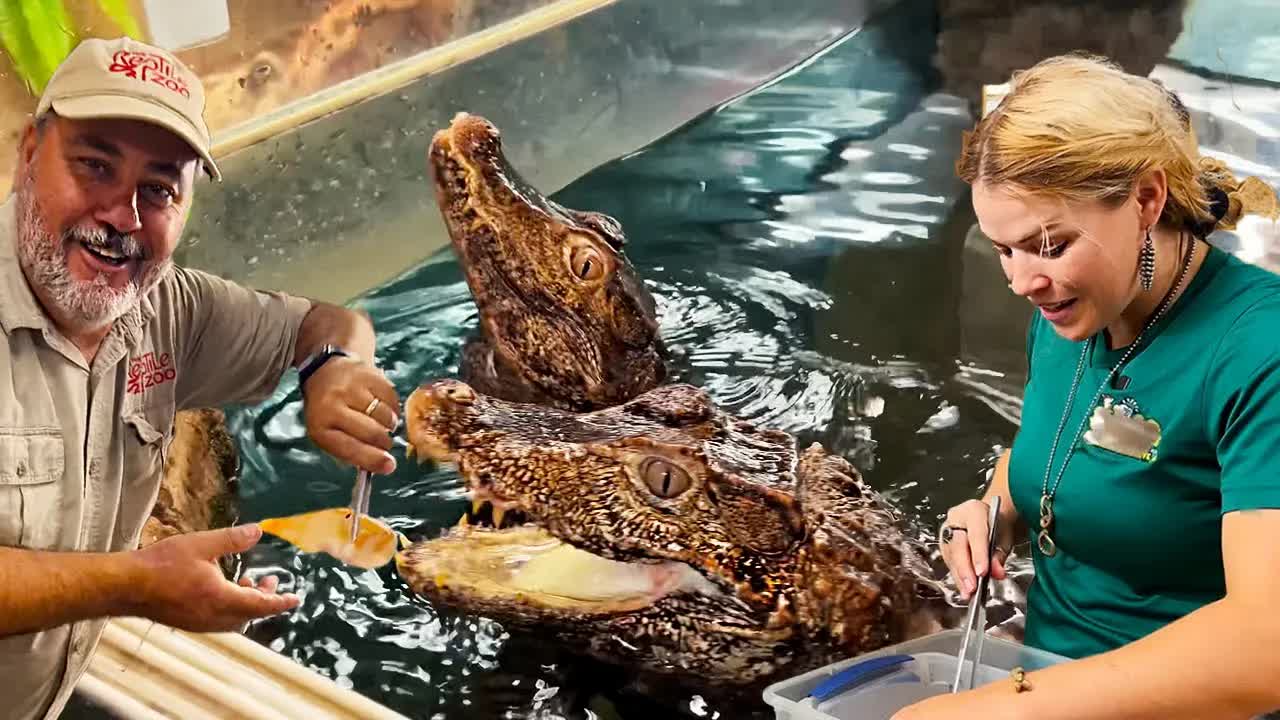 JAMIE HELPS ME FEED SOME PREHISTORIC REPTILES