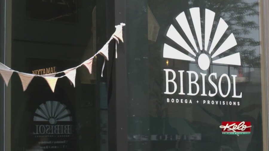 Bibisol making strides within first year of business