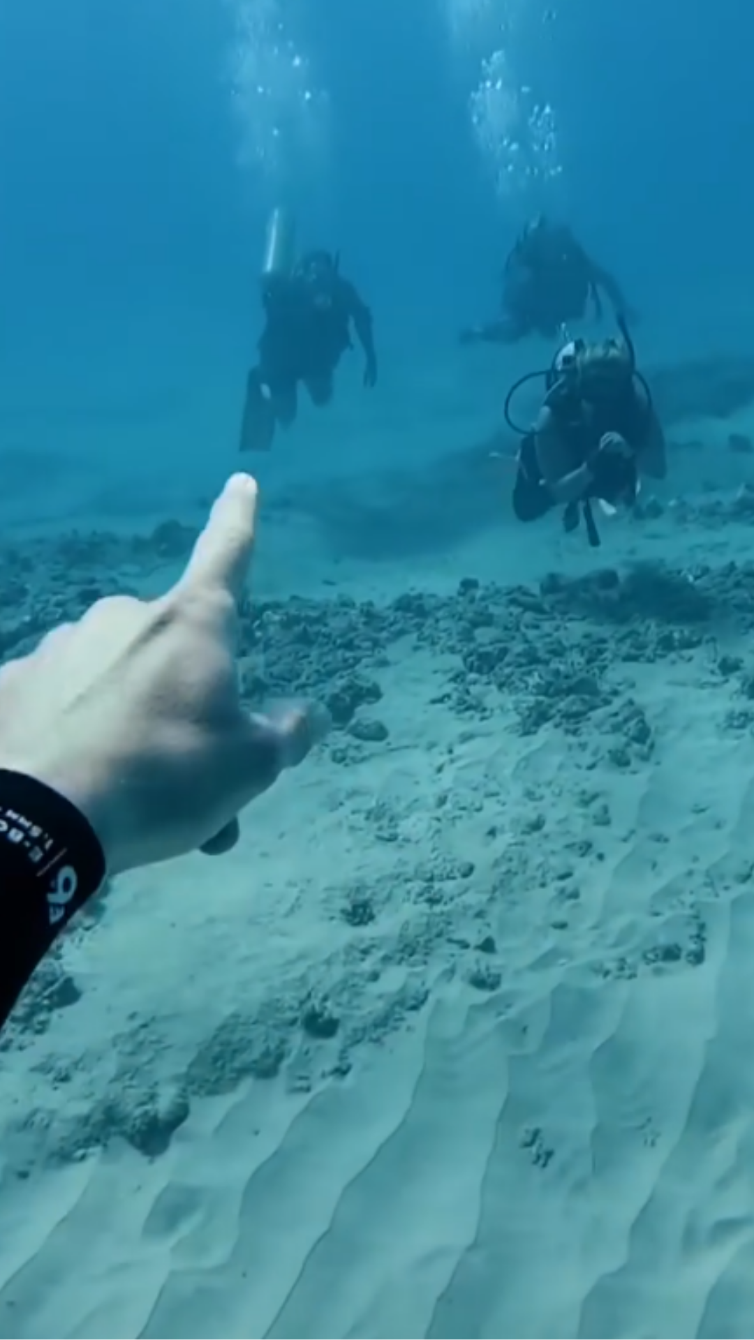 Told Them to Look Back Underwater – Their Reaction Was Priceless