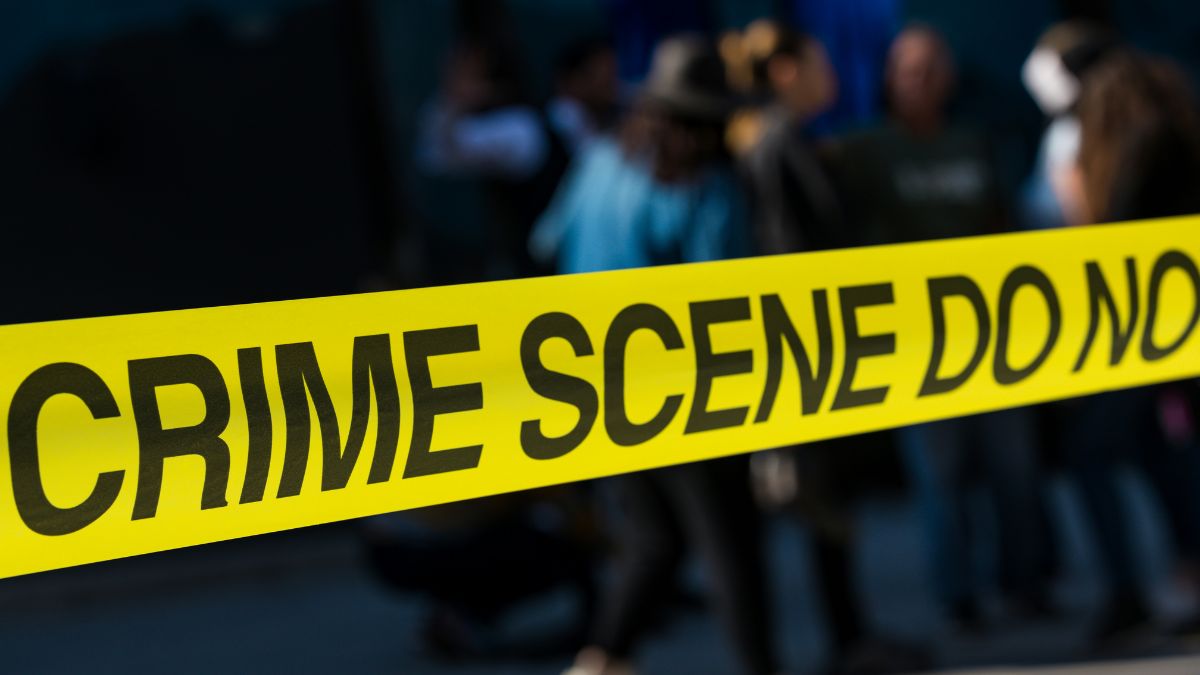 Bengaluru Horror: Stray Dog Carrying Severed Human Arm Raises Alarm ...