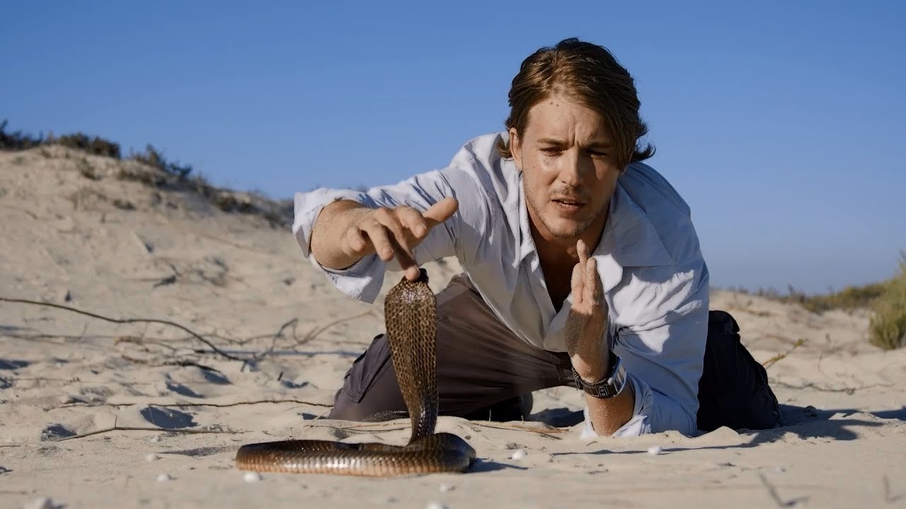 Face to Face with a Deadly African Cobra on the Beach