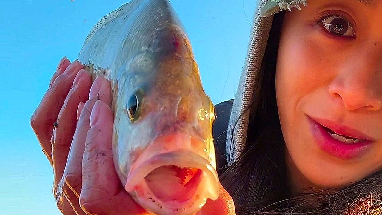 Una pescadora de San Francisco aprende a pescar en segundos gracias a ...