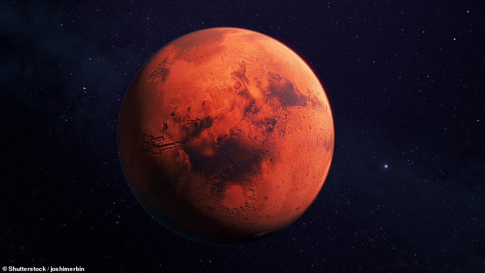 Life on Mars claims erupt after NASA rover finds coral shaped rock