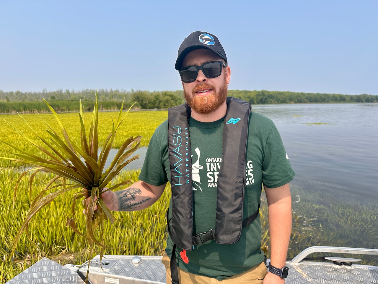 This invasive plant in Lake Simcoe can injure swimmers, experts warn