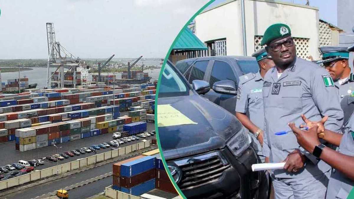 Experts reveal the impact of the Customs new FOB charge, new licence ...