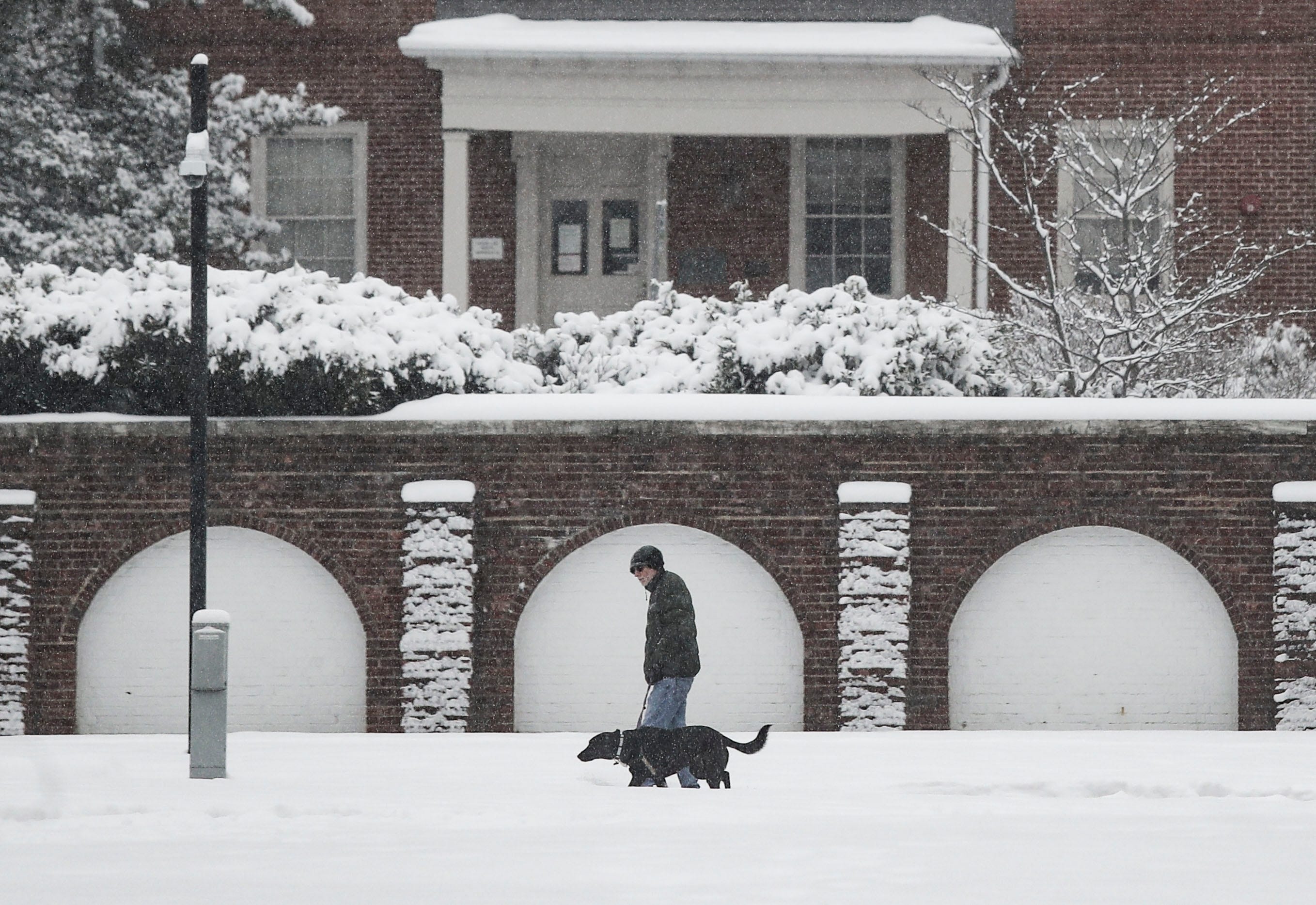 Is it too cold to walk my dog? What you need to know to keep pets safe