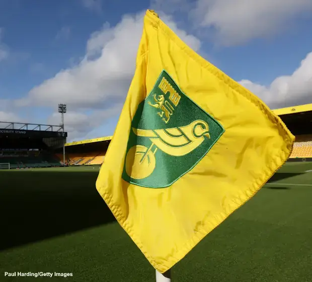 MLS not step up – ex-Championship star warns Josh Sargent against move