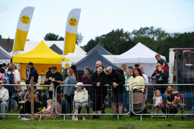 19 fun-filled pics as tortoises, sheep and cows steal the limelight at ...