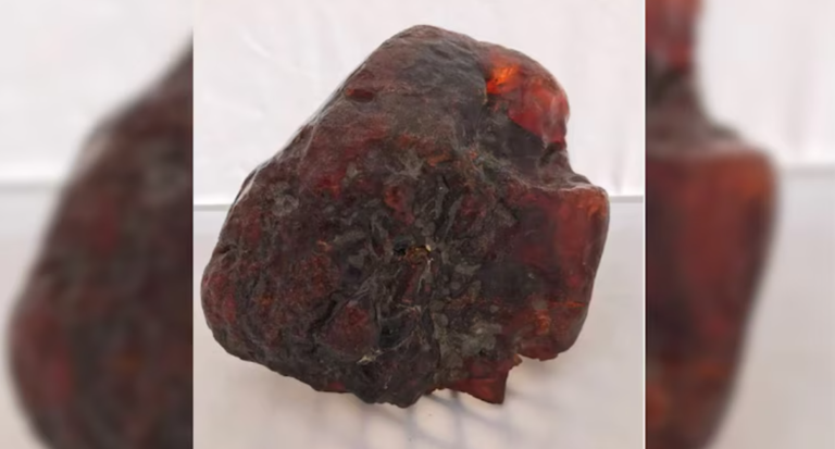 Old woman uses a simple-looking rock for a doorstop; turns out to be a ...