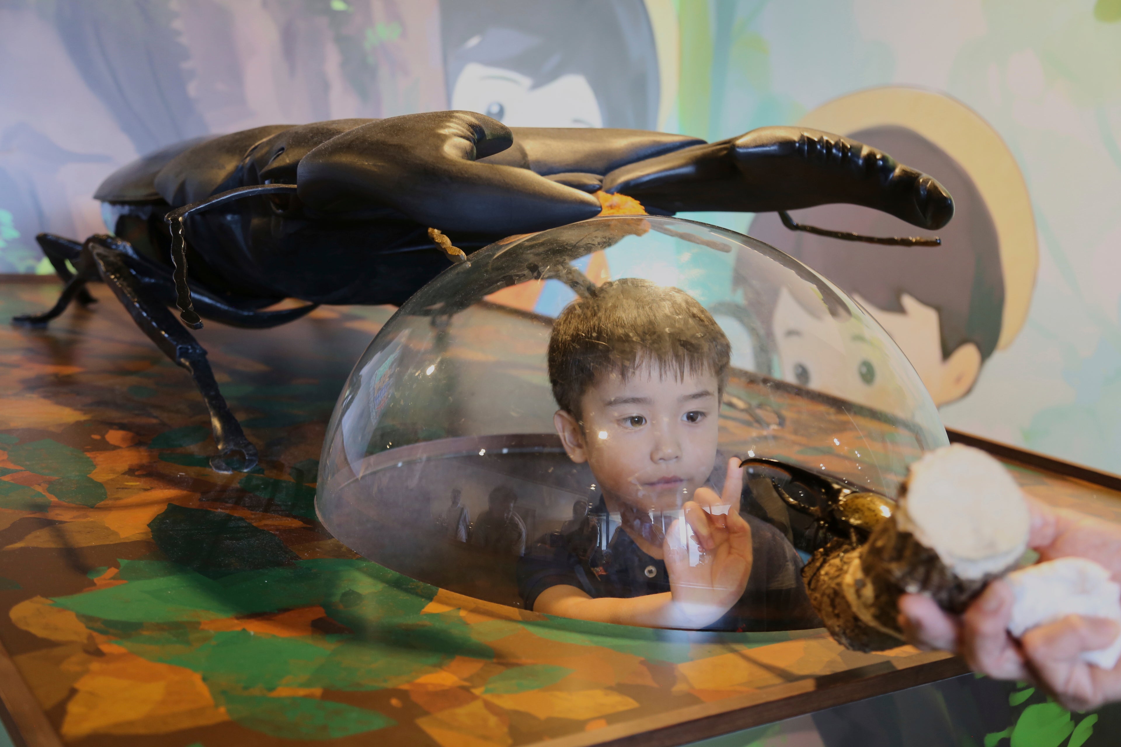 Forget kittens: The pet of choice for Japan’s children is a humble bug