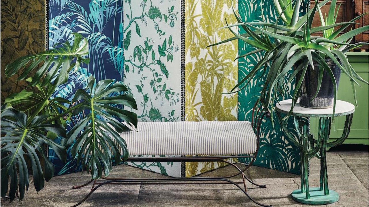 This common houseplant mistake stops soil from absorbing water: Luckily ...