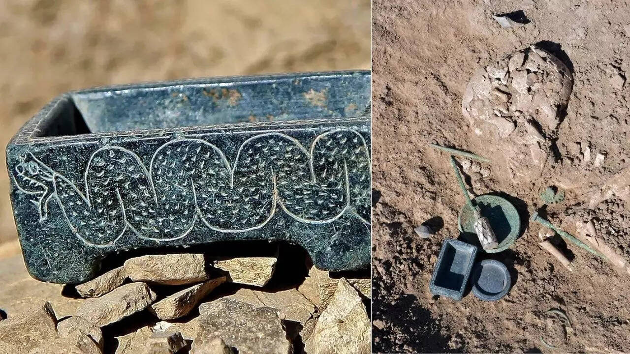 Snake-and-scorpion decorated cosmetic box found in 3,000-year-old elite ...