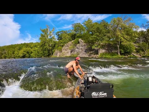 Biggest fish ever hides in dangerous waterfall river