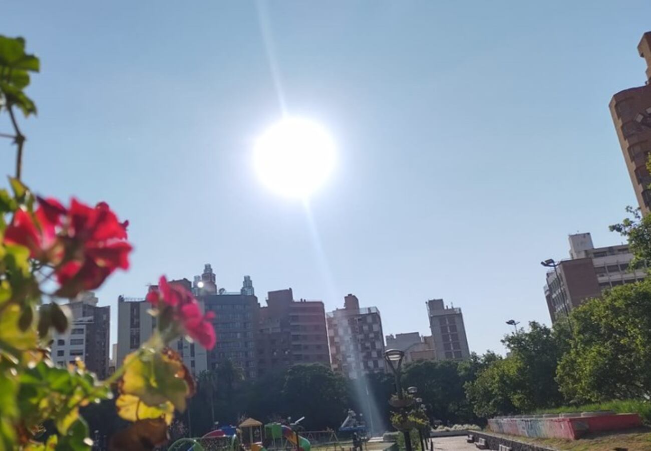 Clima en Córdoba: cómo estará el tiempo este viernes 23 de enero y el ...