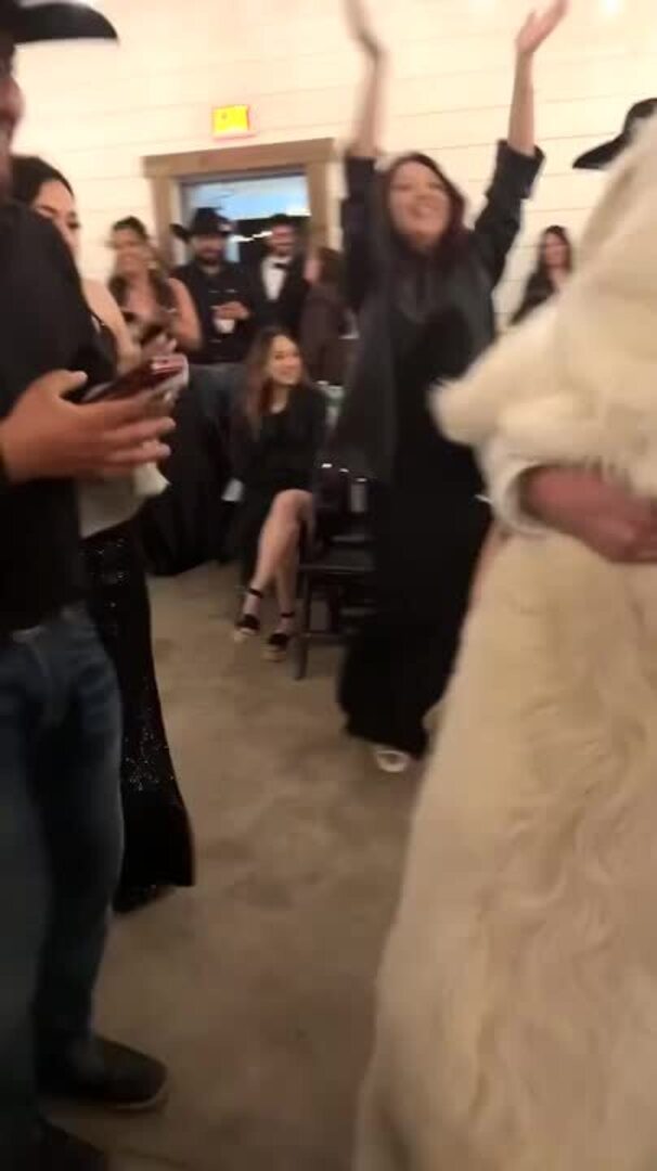 Man Dances With His Dog on His Wedding Day