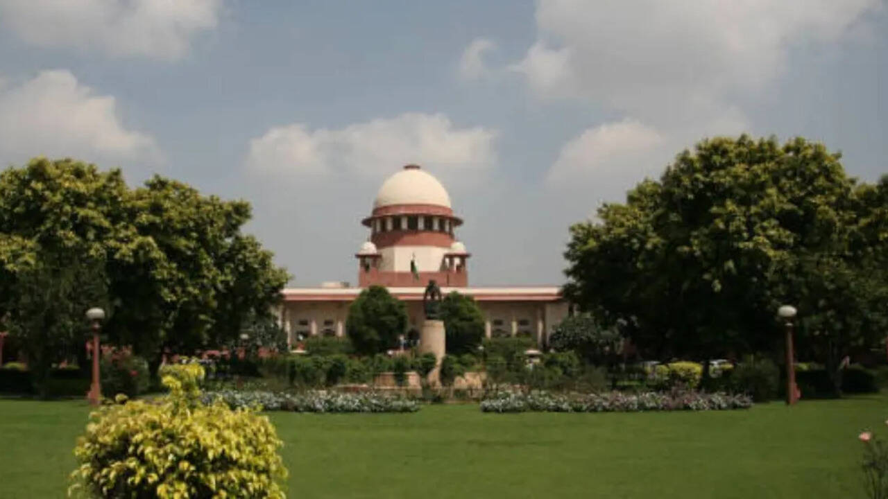 'Sedition Law In New Avatar': Constitutional Validity Of Section 152 Of ...