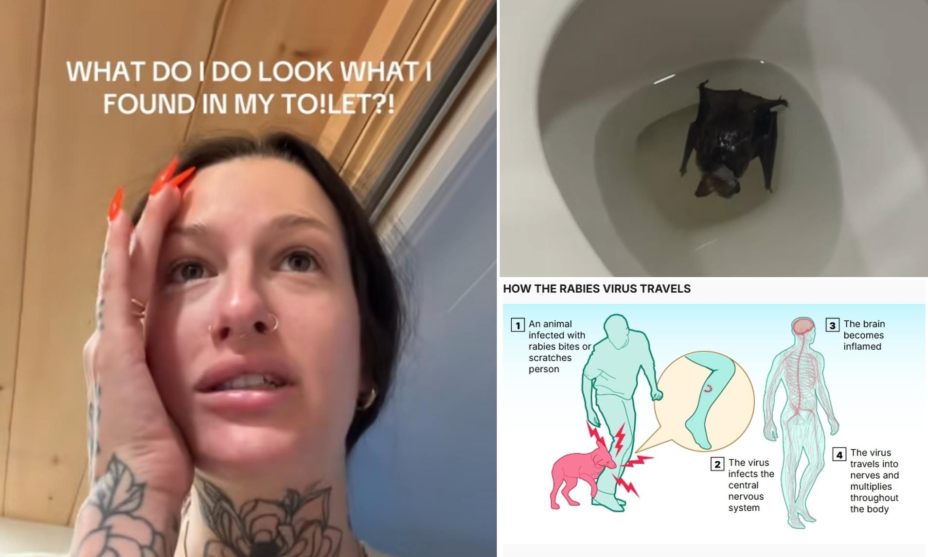 Woman ordered to go straight to hospital after terrifying discovery of ...