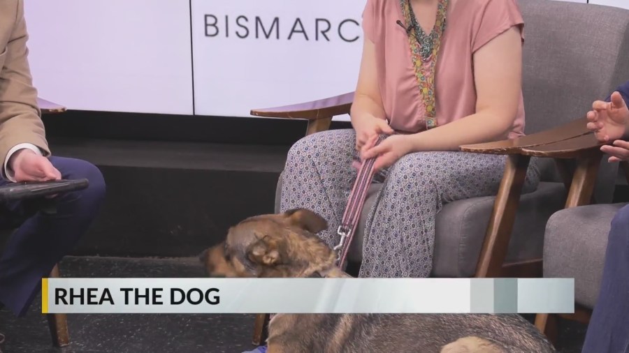 FURRY FRIDAY: Meet Rhea the dog