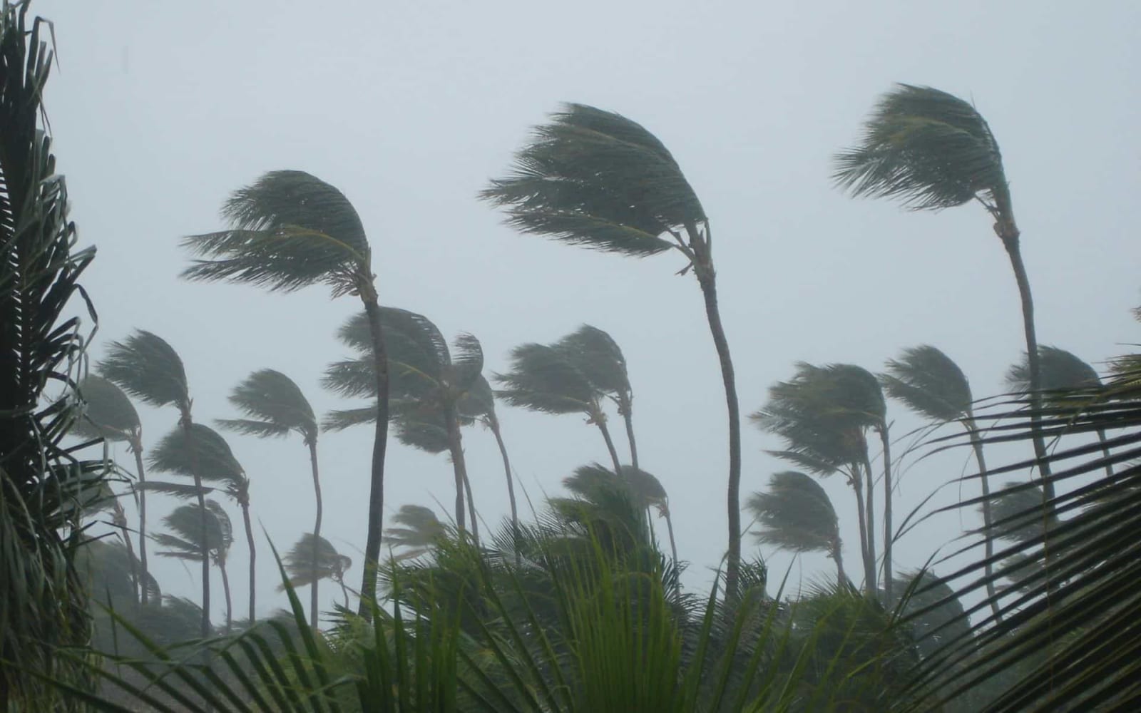 Tropical Storm Developments: Key Impacts and Risks Across the U.S. East ...