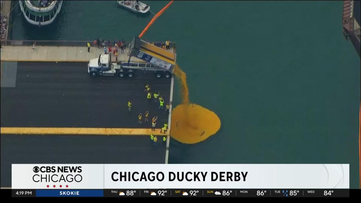 Watch: 82,000 rubber ducks race down the Chicago River