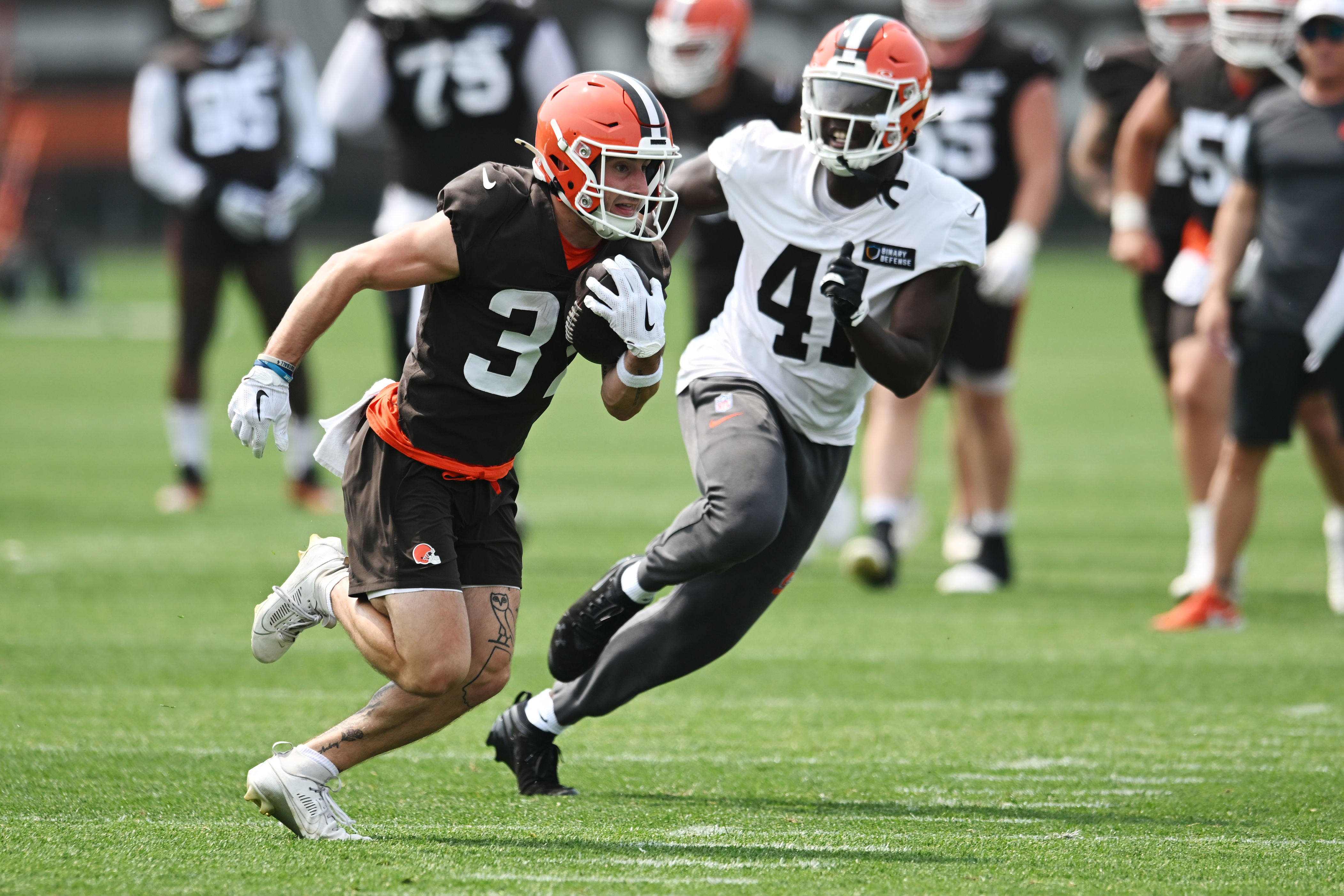 The results are in: Browns fans choose between Gage Larvadain and Luke ...