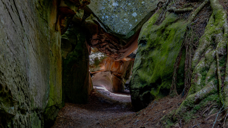 A Stunning Nature Preserve In Virginia Boasts Otherworldly Landscapes ...