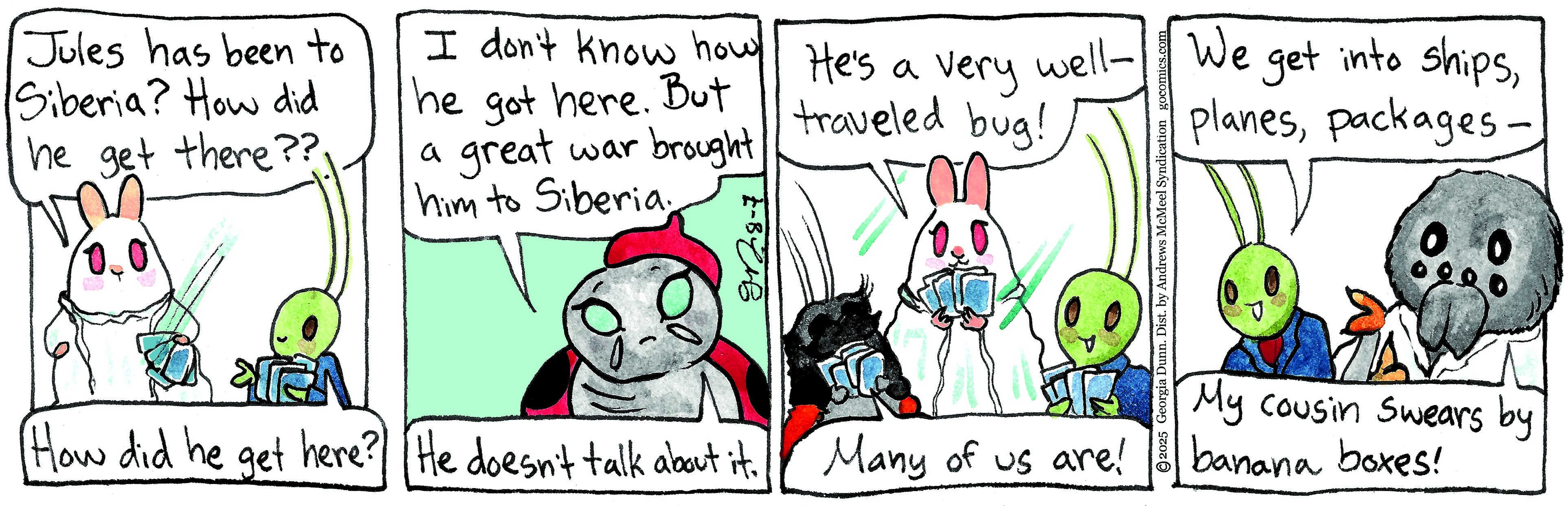 Breaking Cat News by Georgia Dunn