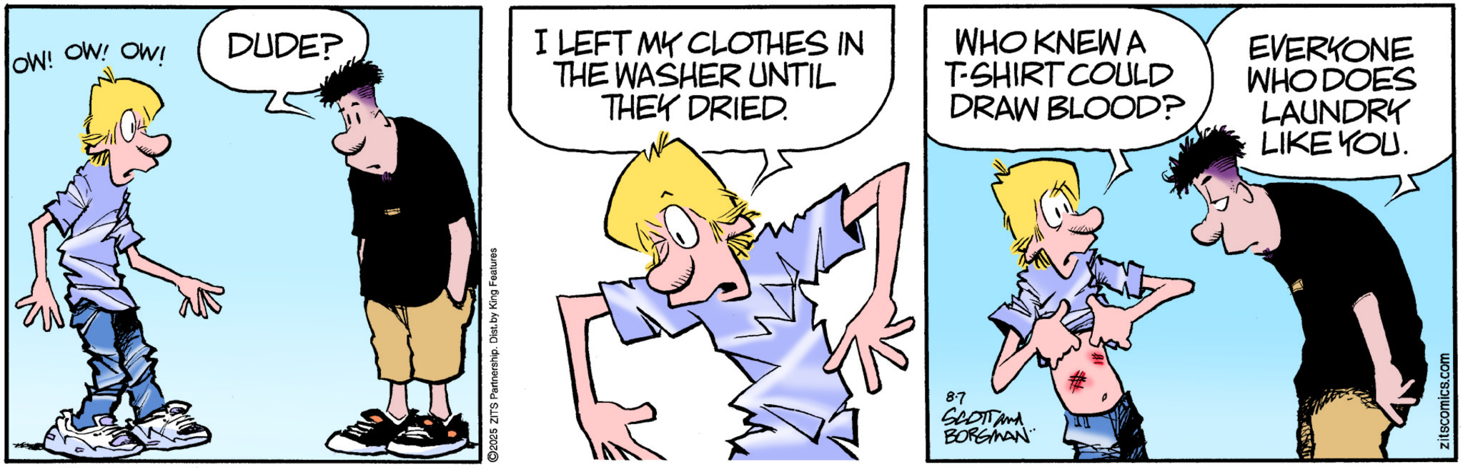 Zits by Jerry Scott and Jim Borgman