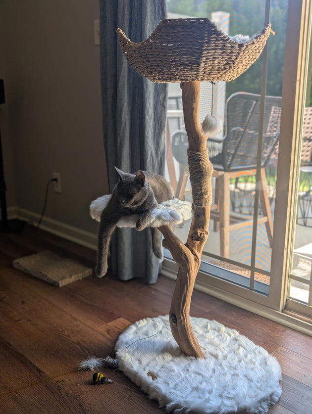 I Splurged On A Viral Cat Tree, And I Love It As Much As My Cat