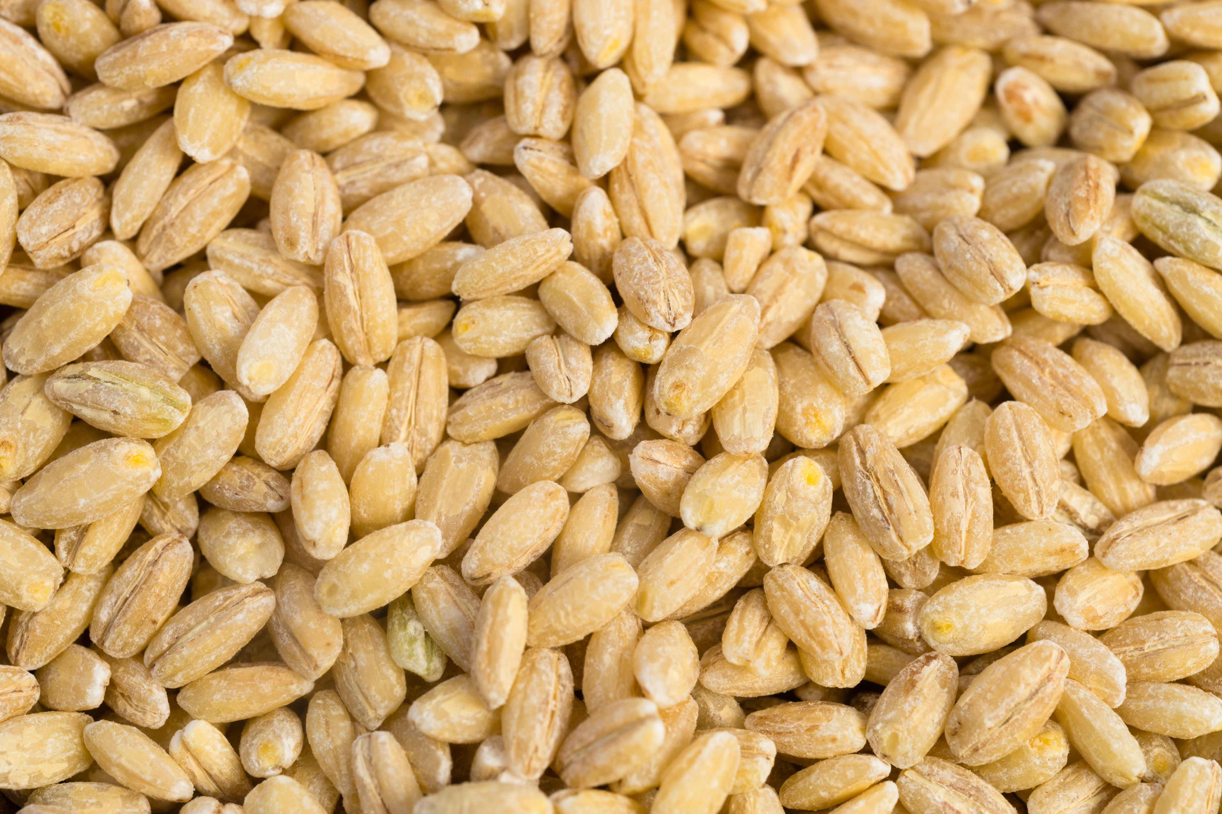 Natural fixes for the fatigue caused by low cortisol levels
