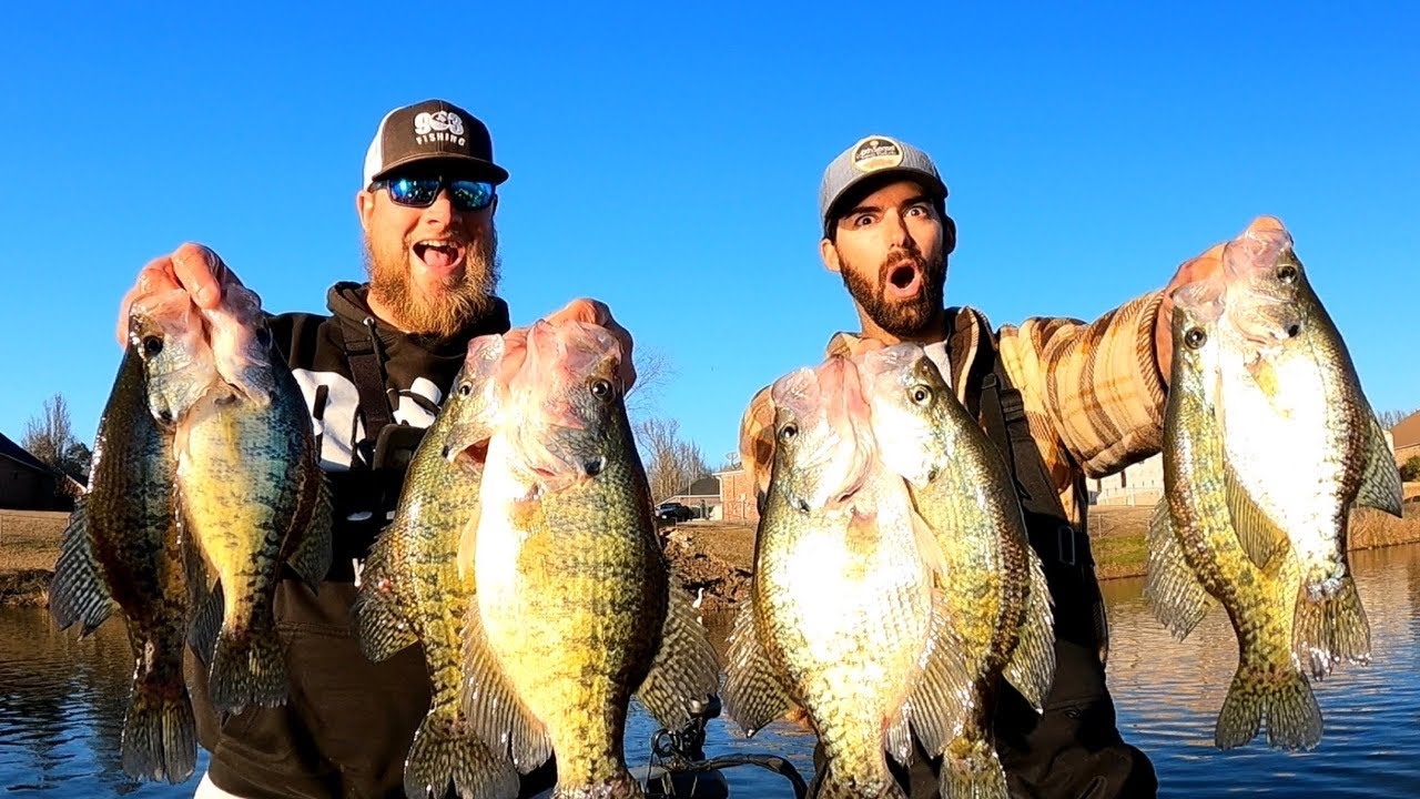 Creek loaded with big slabs insane crappie fishing day