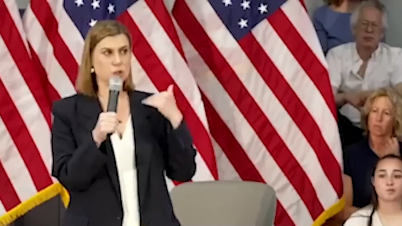 'We're Gonna Have A Real Fight On Our Hands': Sen. Elissa Slotkin Lays ...