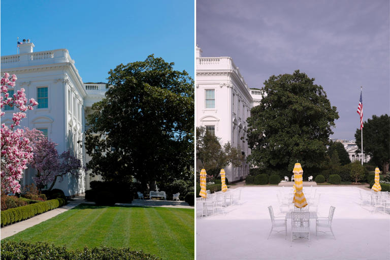 Interior designer critiques Trump's White House renovations