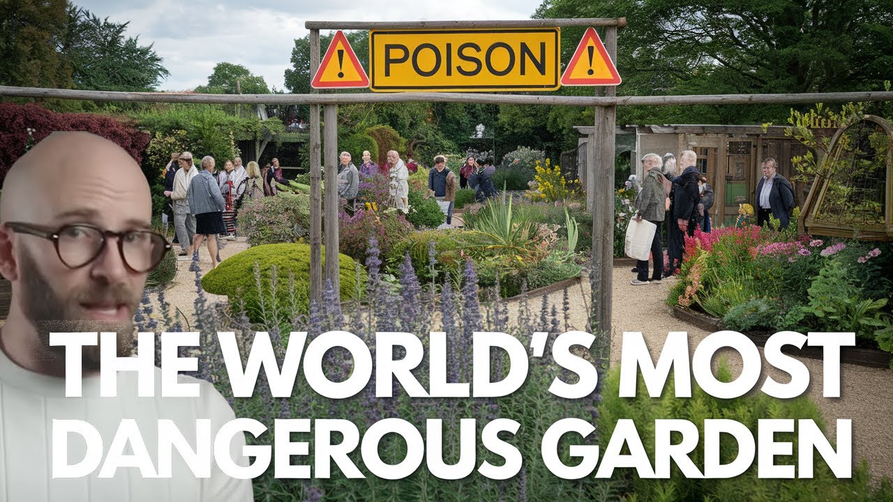 Inside Alnwick Poison Garden – Where the World’s Deadliest Plants Grow
