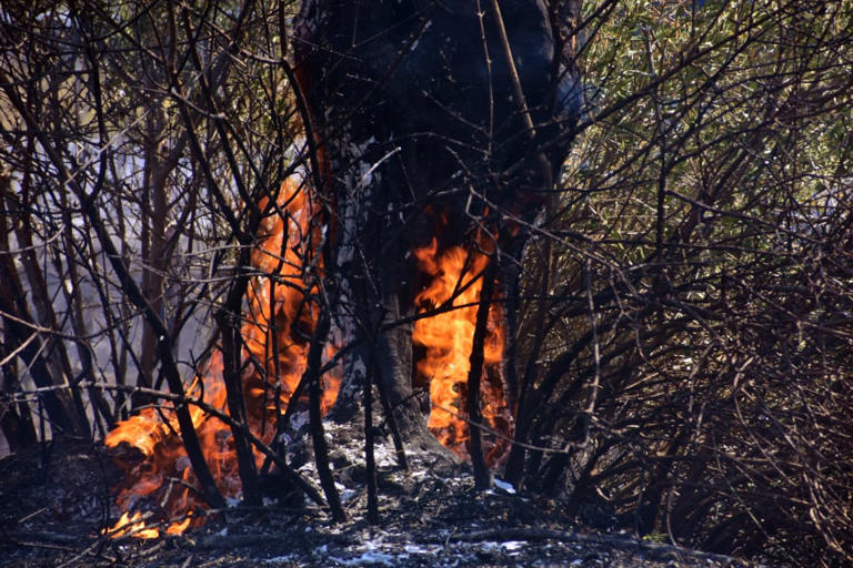 Ανεξέλεγκτη φωτιά σε Αν. Αττική και Ηλεία - Ένας νεκρός, καμμένα σπίτια ...