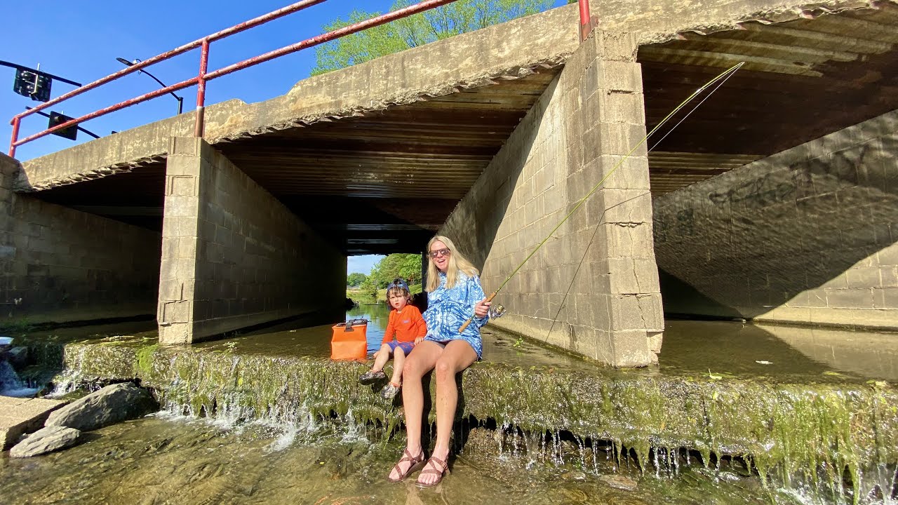 Fishing and snake wrangling in loaded urban creek