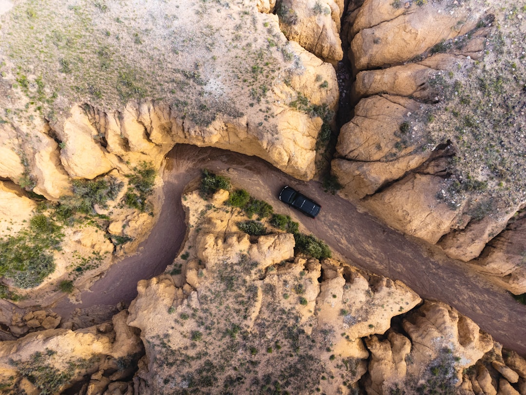 A Comprehensive Overview of the World's Venomous Snakes and Their ...