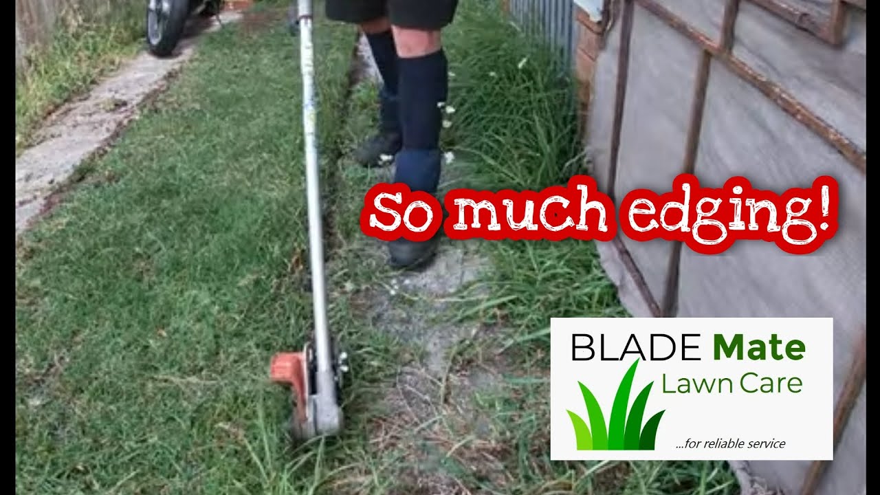 Overgrown to Immaculate - Lawn Catcher Cleanup Magic