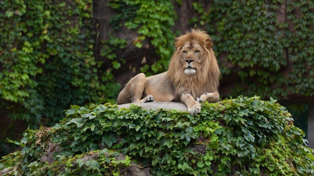 U.S. zoos with exhibits older than your great-grandparents