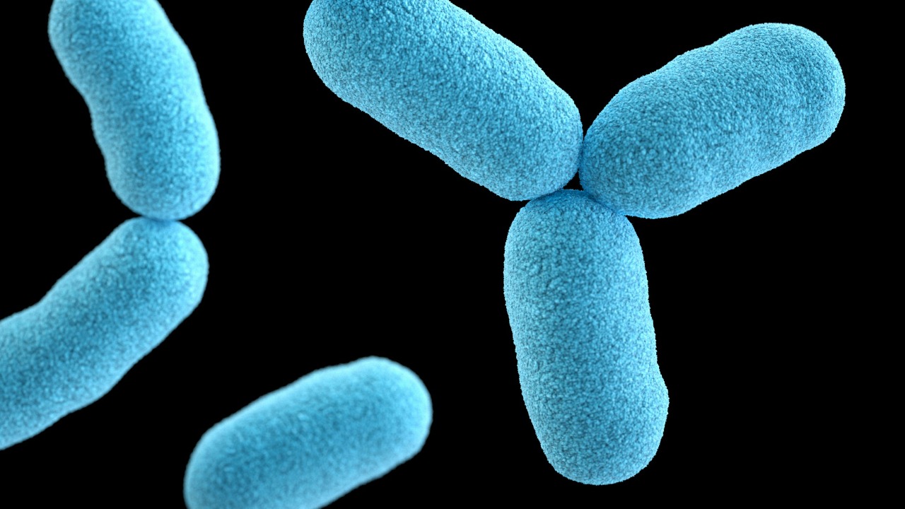 Researchers find bacteria surviving in outer space