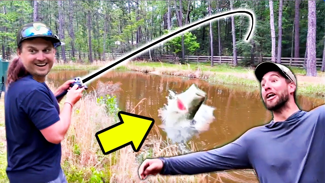 Next Texas state record bass lives in backyard pond