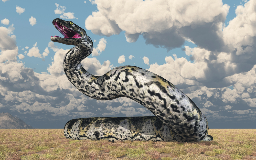 16 Massive Snakes Documented in the Wild
