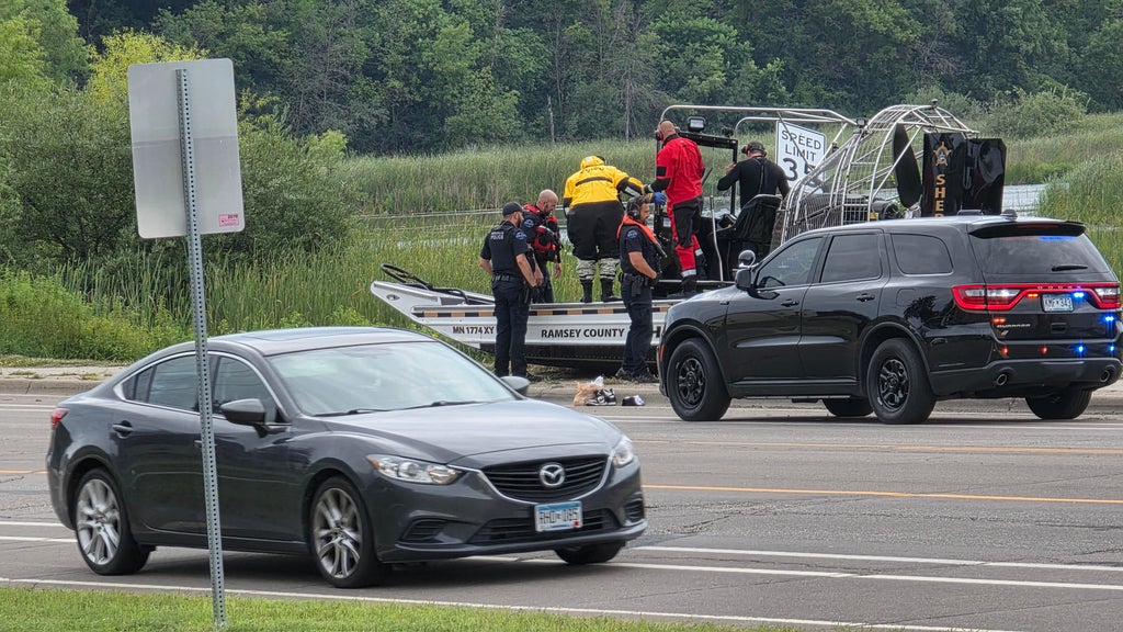 Man fleeing arrest in Roseville gets caught in swamp, rescued