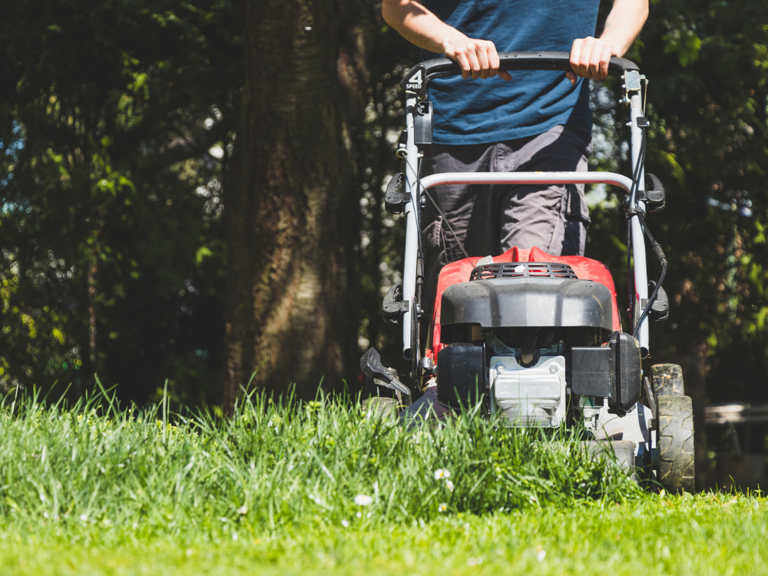 Top lawn mowers to maintain your grass