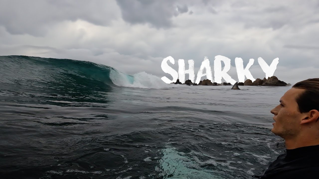 Surfing Solo at a Dangerous Reef Break