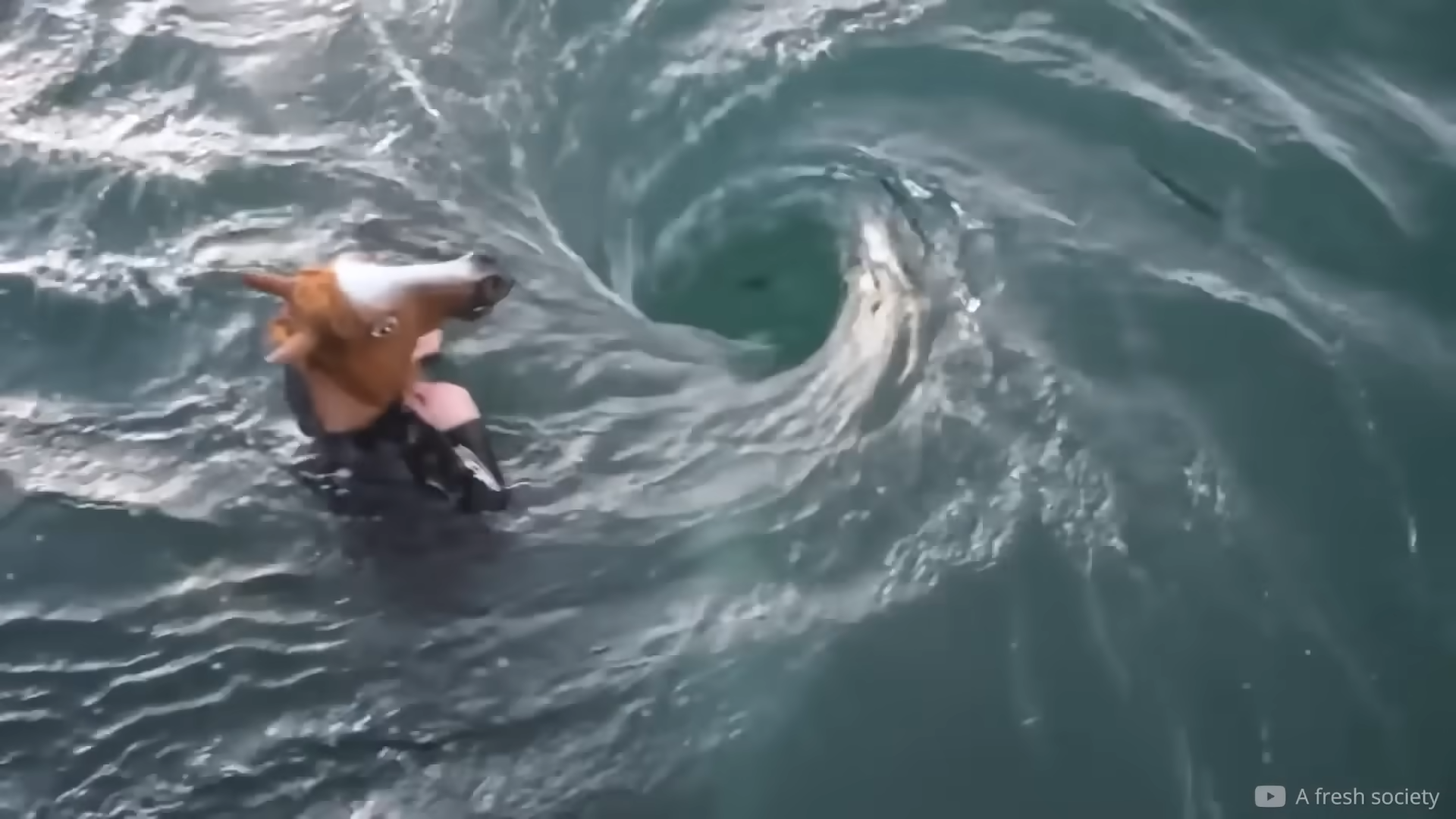 YouTuber Films His Own Death in Whirlpool Accident